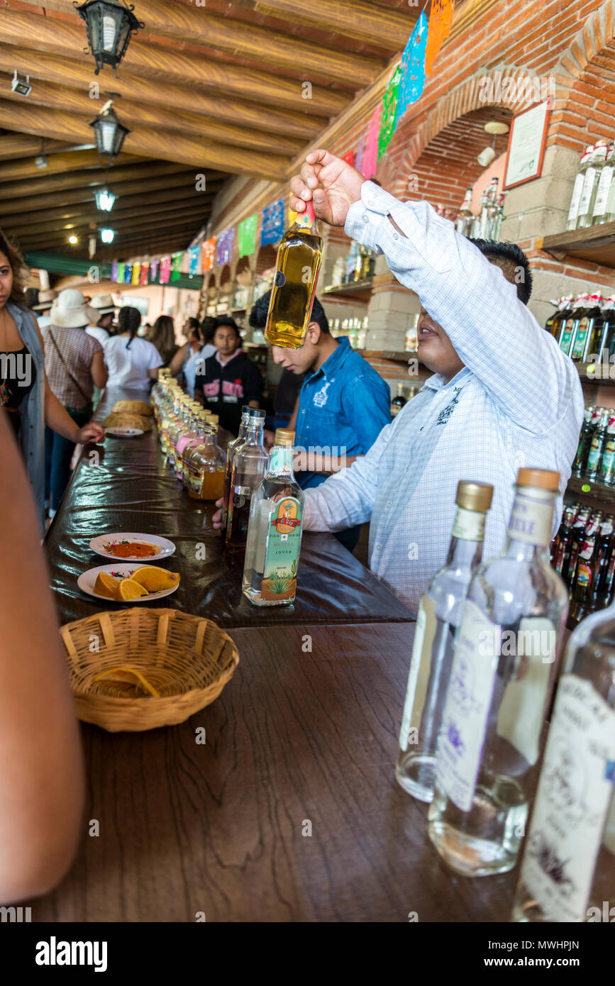 Mezcal distillery bar with a row of different types of mezcal for ...