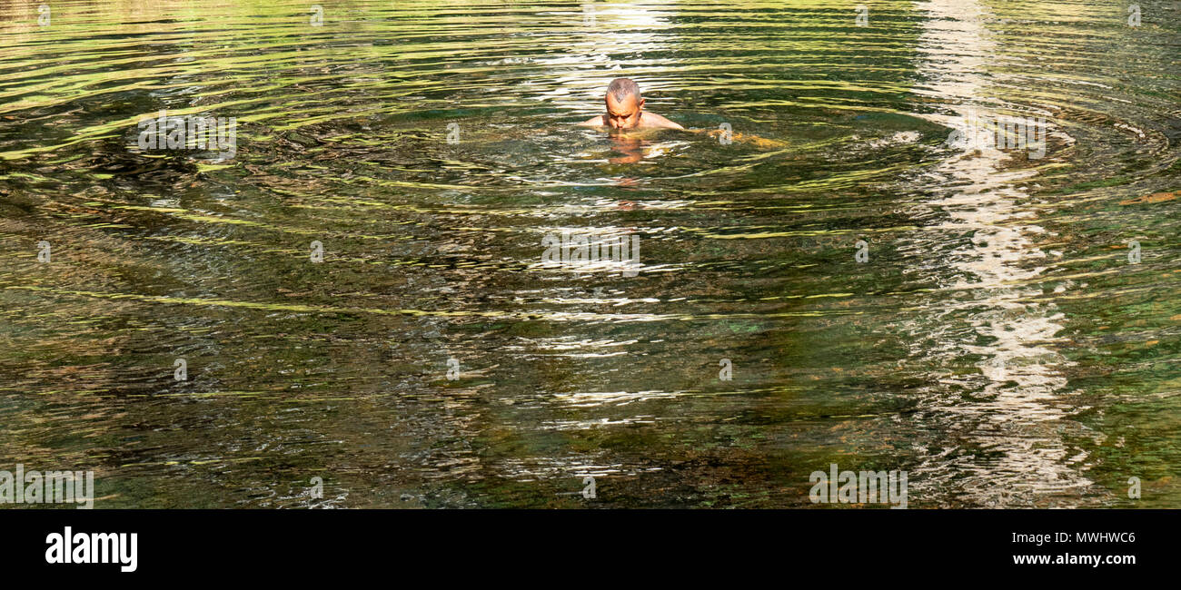 Head just above water hi-res stock photography and images - Alamy