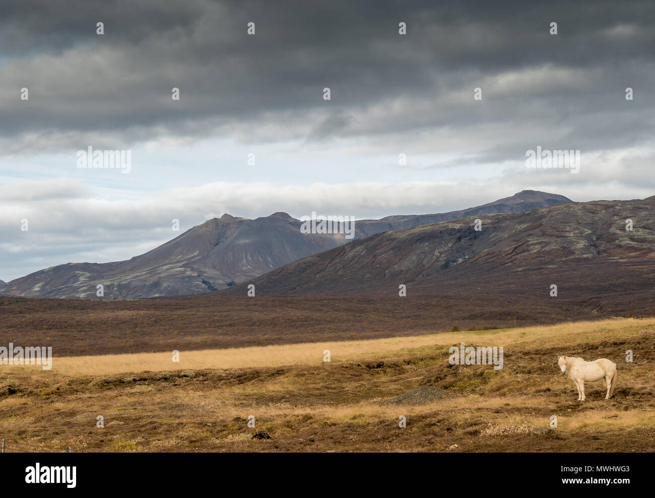 Interior highlands hi-res stock photography and images - Alamy