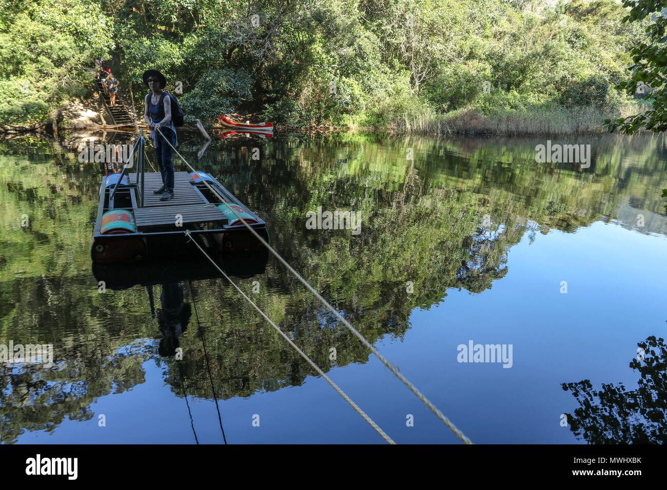 Mature female adventurer on the pontoon crossing in wilderness national ...