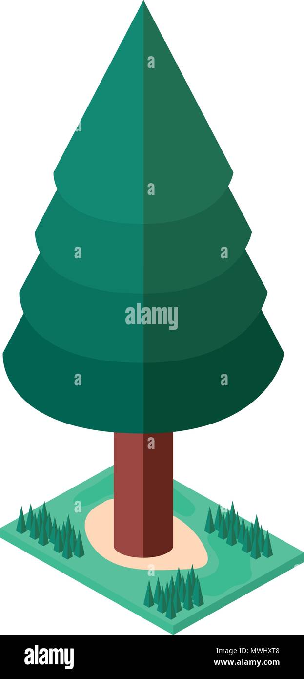 pine tree plant with grass isometric icon Stock Vector Image & Art - Alamy