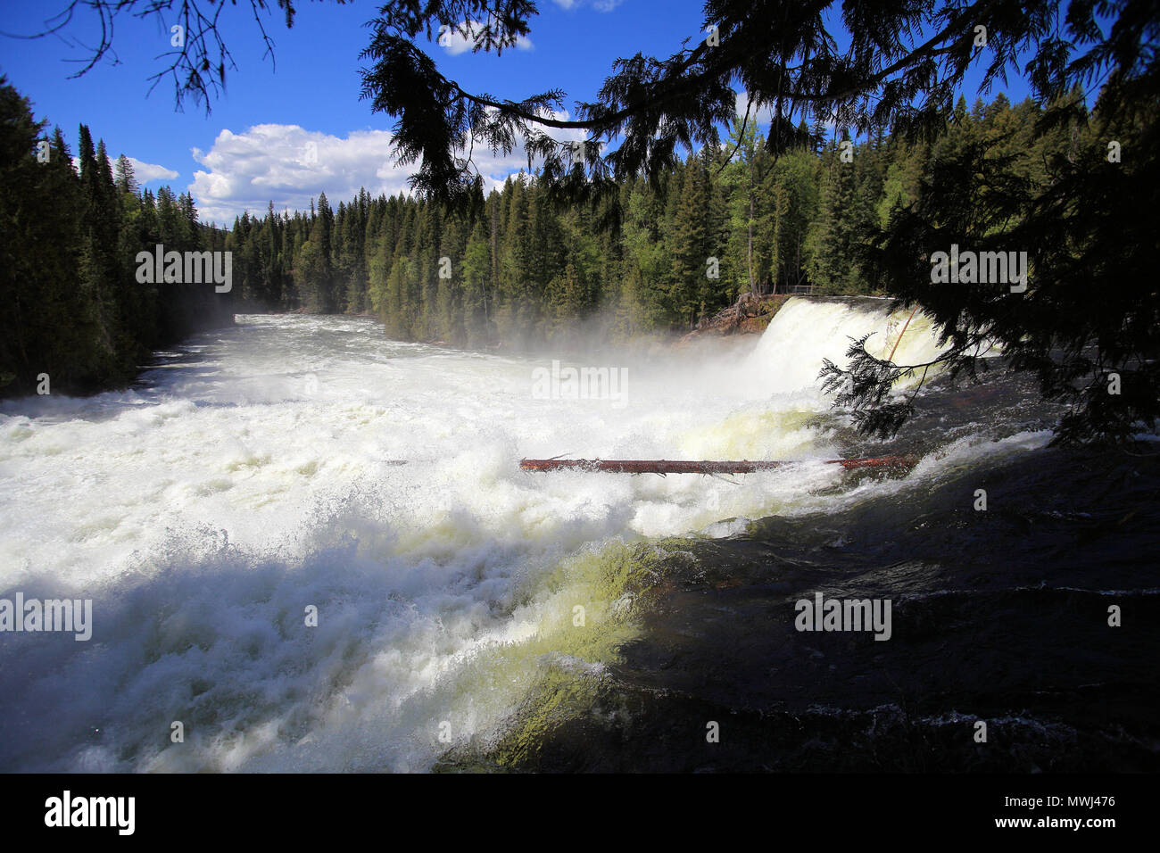 Dawson falls hi-res stock photography and images - Alamy