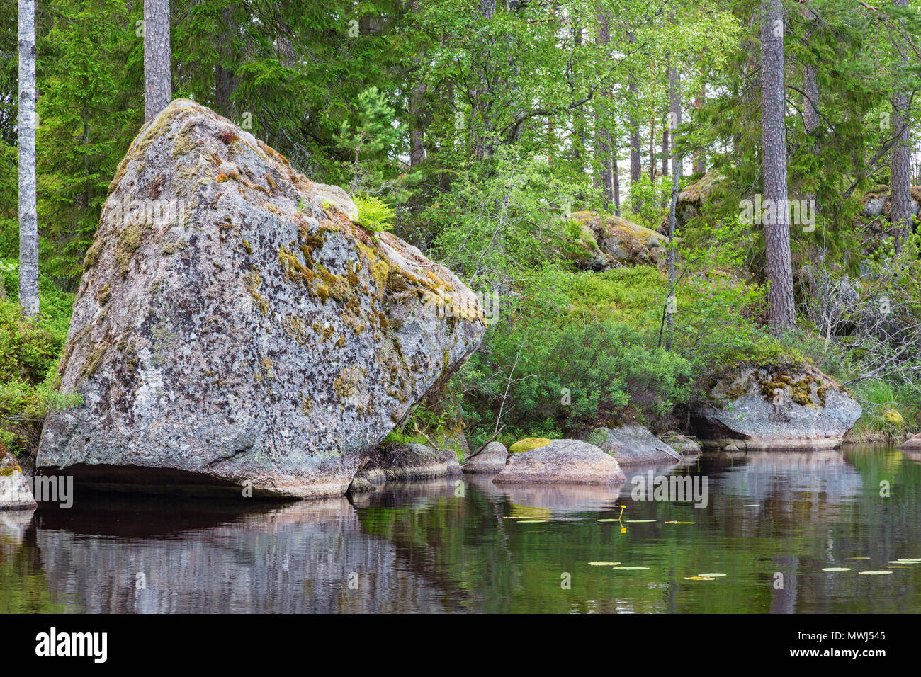 Glacial erratic rock located on a beach at a forest Stock Photo - Alamy
