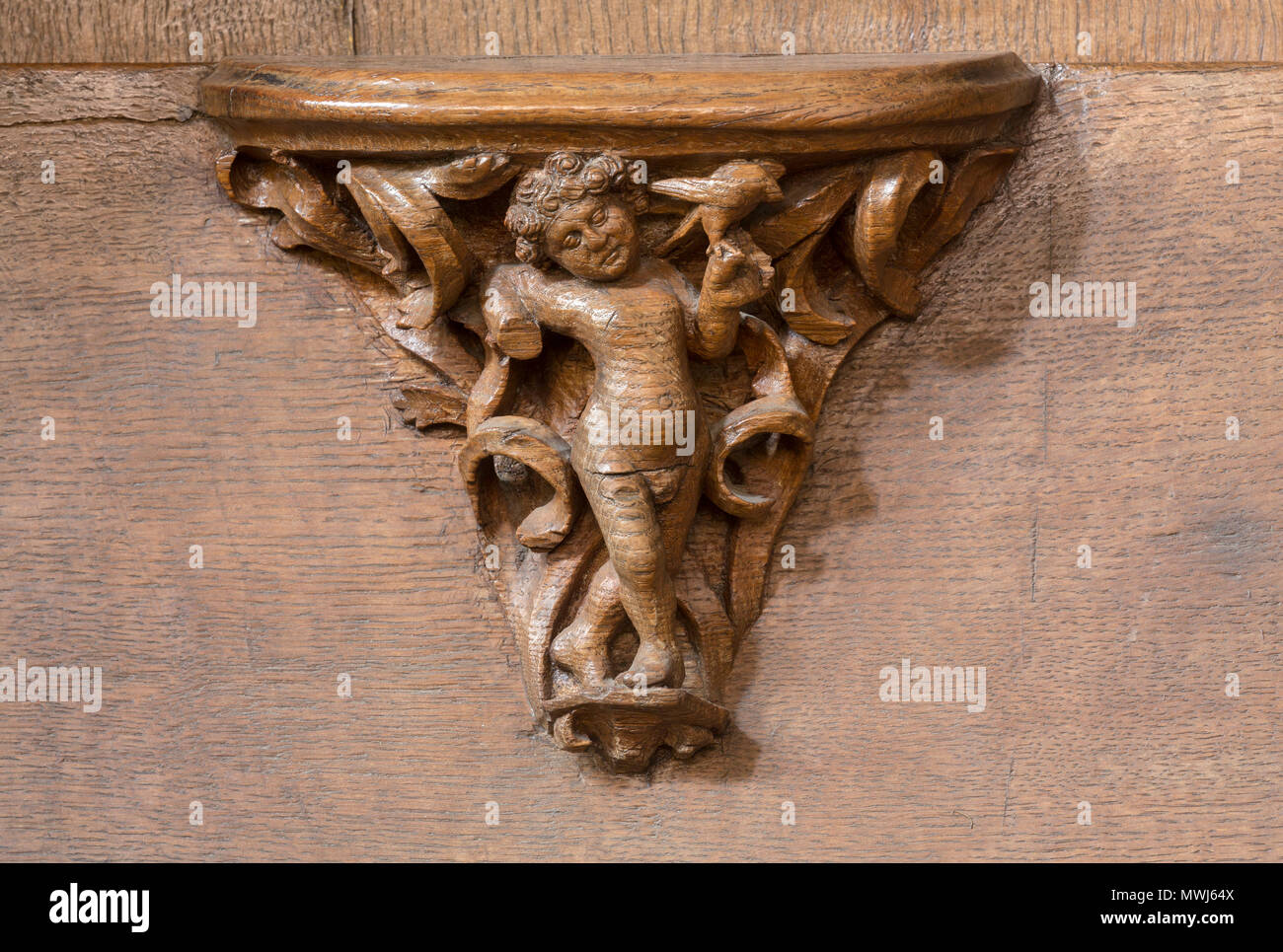 Kinde hi-res stock photography and images - Alamy