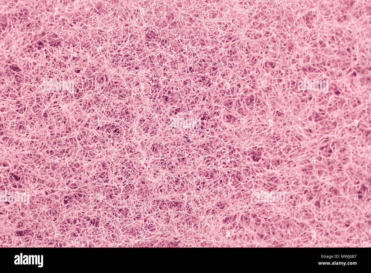texture of pink washing kitchen sponge Stock Photo - Alamy
