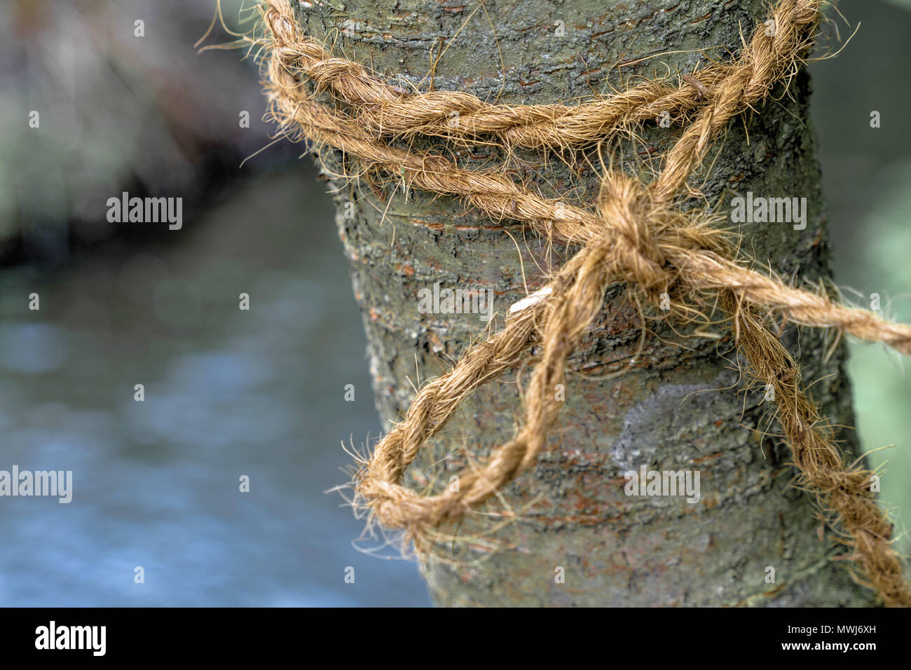 Tie a loop hi-res stock photography and images - Alamy