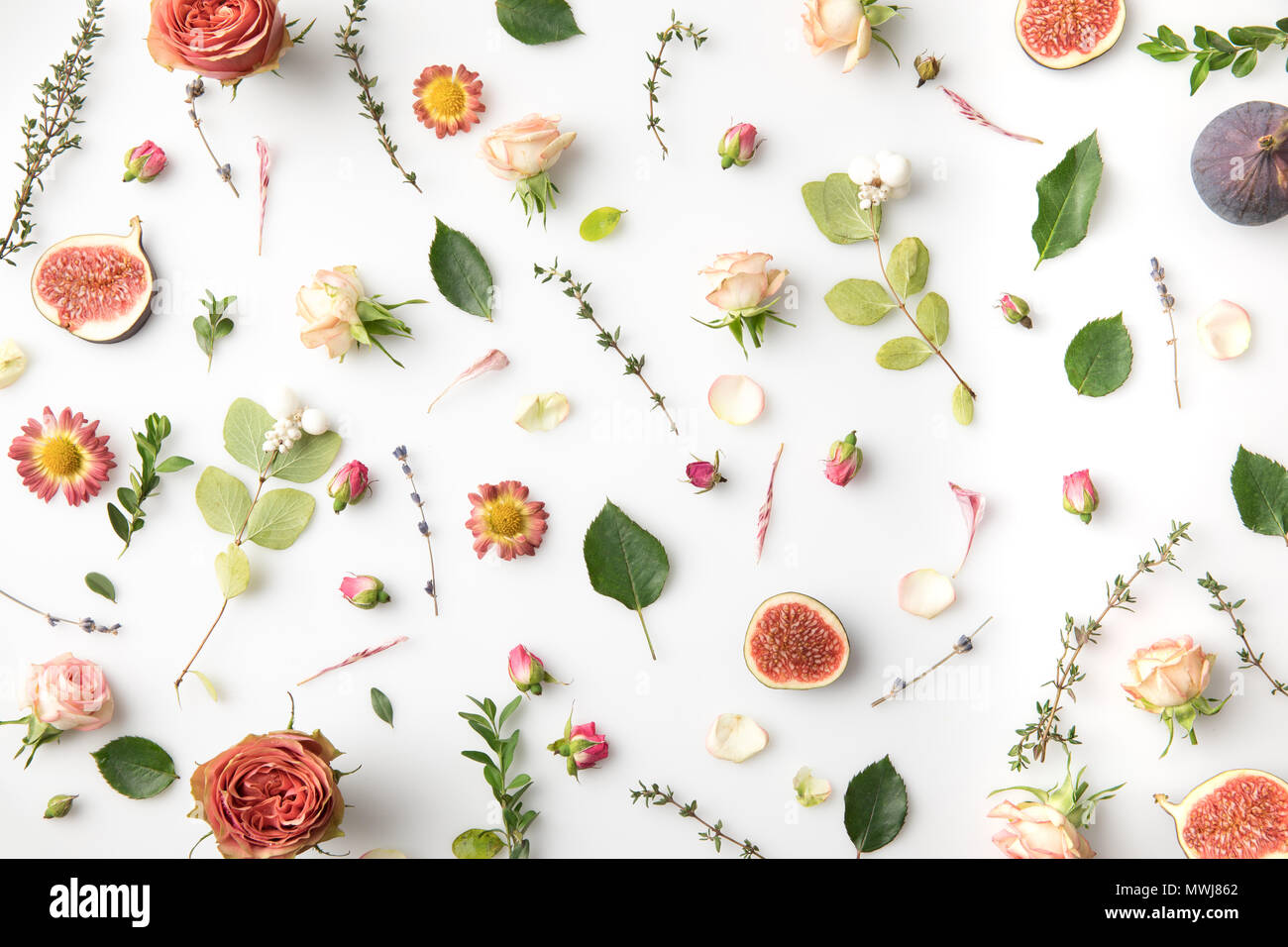 pink flowers, petals and figs isolated on white Stock Photo - Alamy