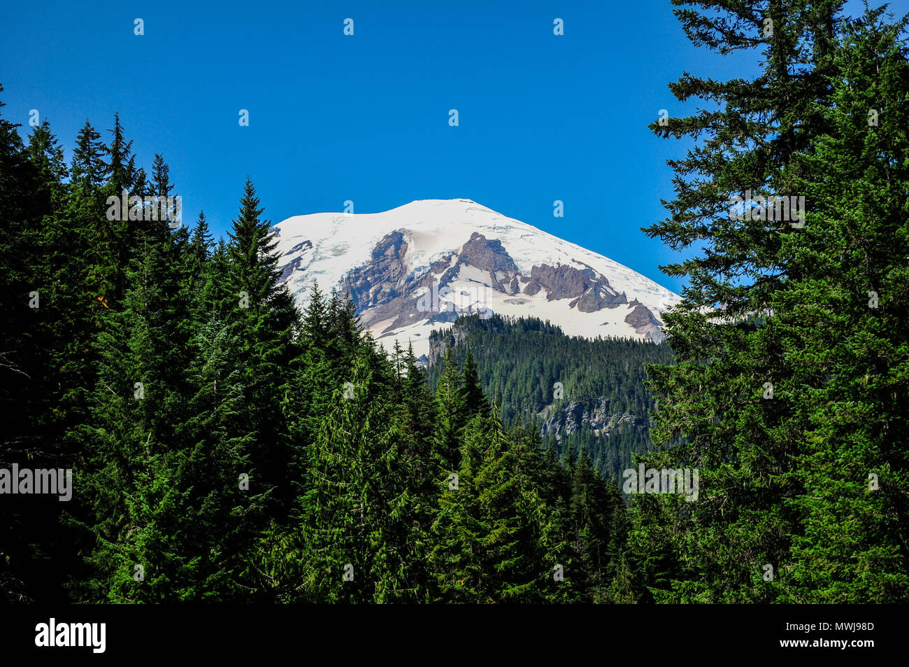 Mt. Rainier National Park, USA, in Late Summer 2011 Stock Photo - Alamy