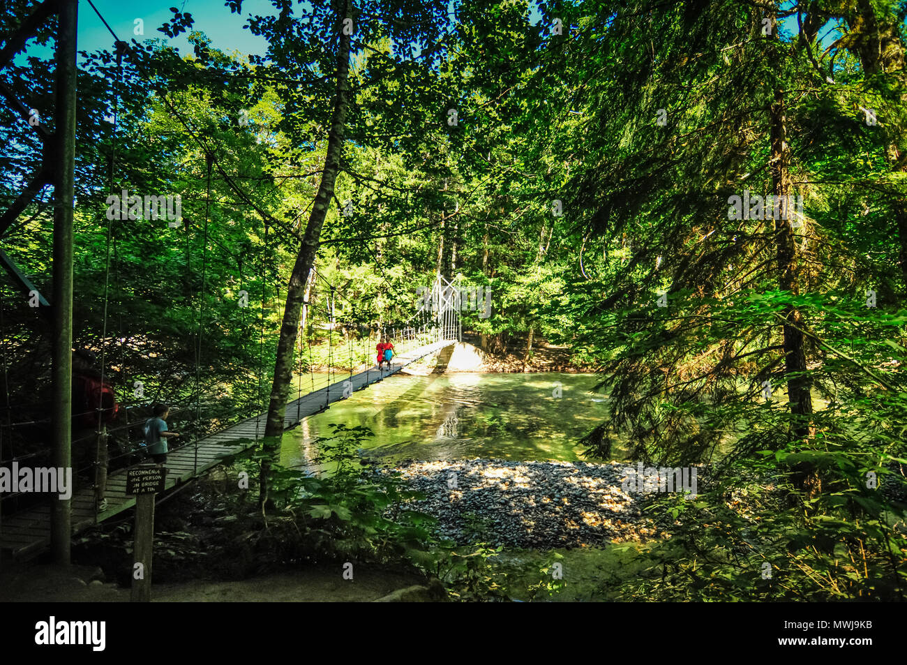 Sub alpine hi-res stock photography and images - Alamy