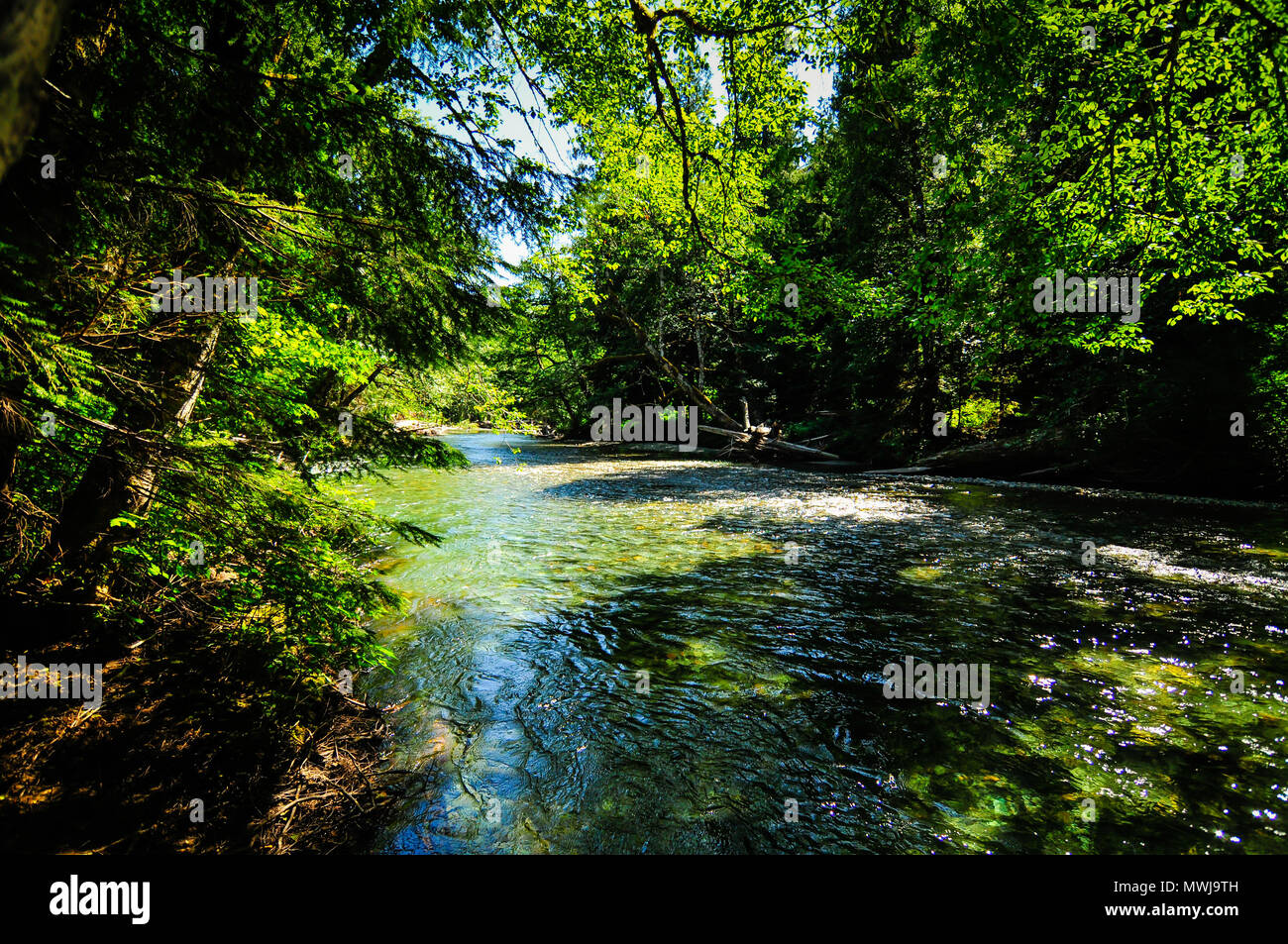 Sub alpine hi-res stock photography and images - Alamy