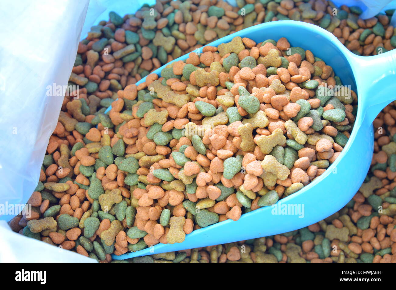 dog food in blue plastic scoop Stock Photo - Alamy