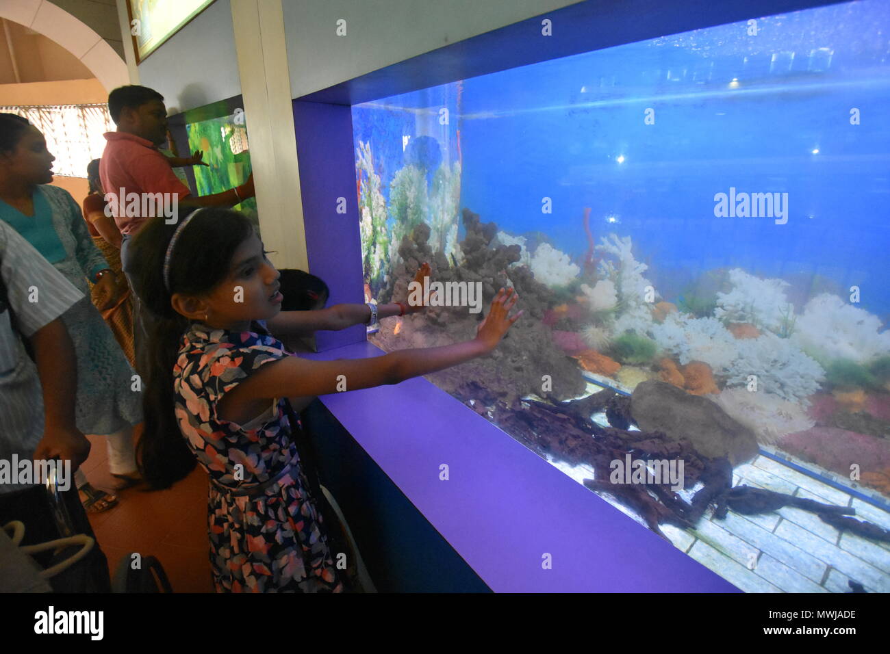 A girl interacting with freshwater fishes at the Dynamotion hall of ...