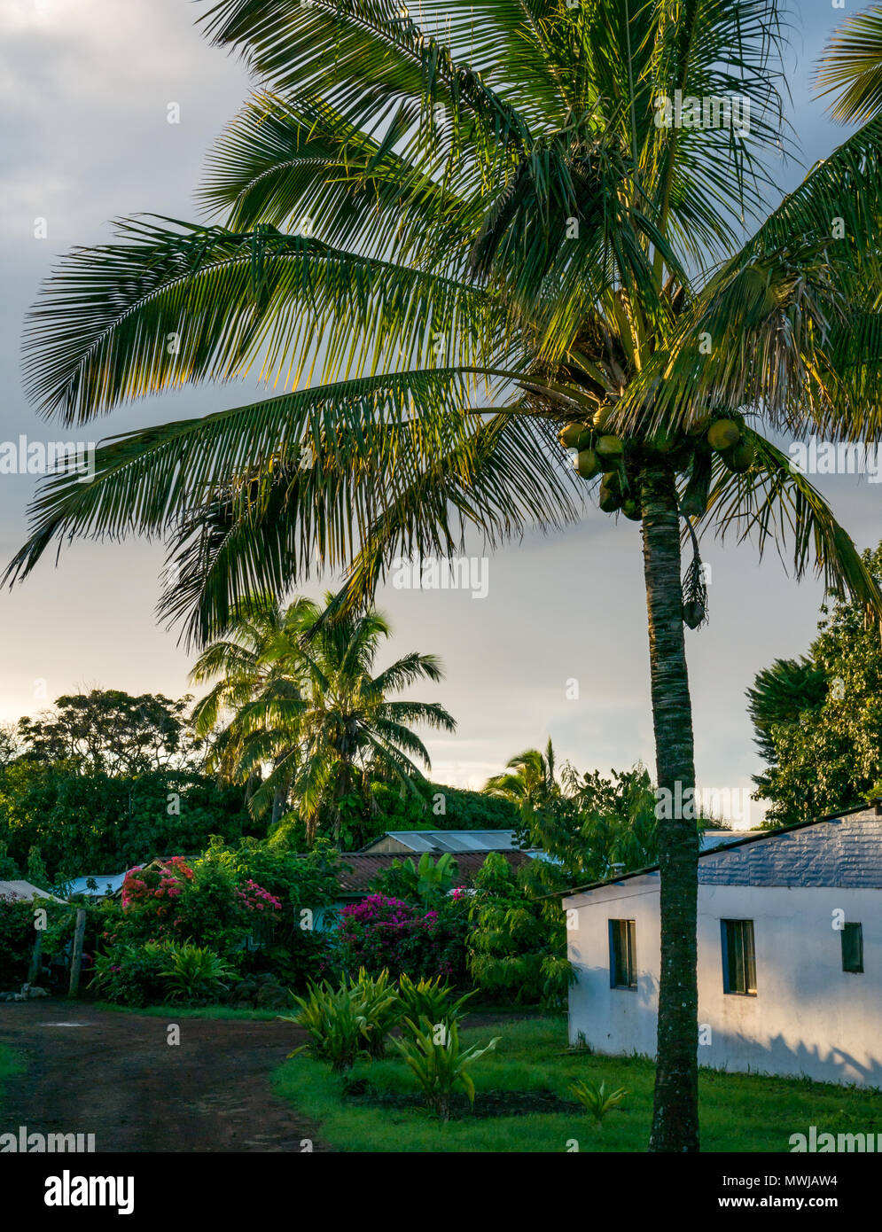 Island greenery hi-res stock photography and images - Alamy