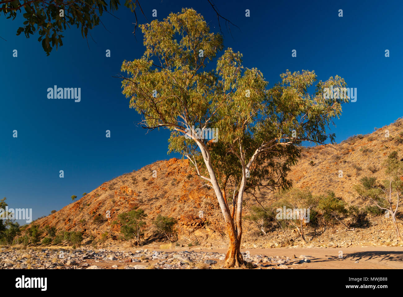 Ruby ranges hi-res stock photography and images - Alamy