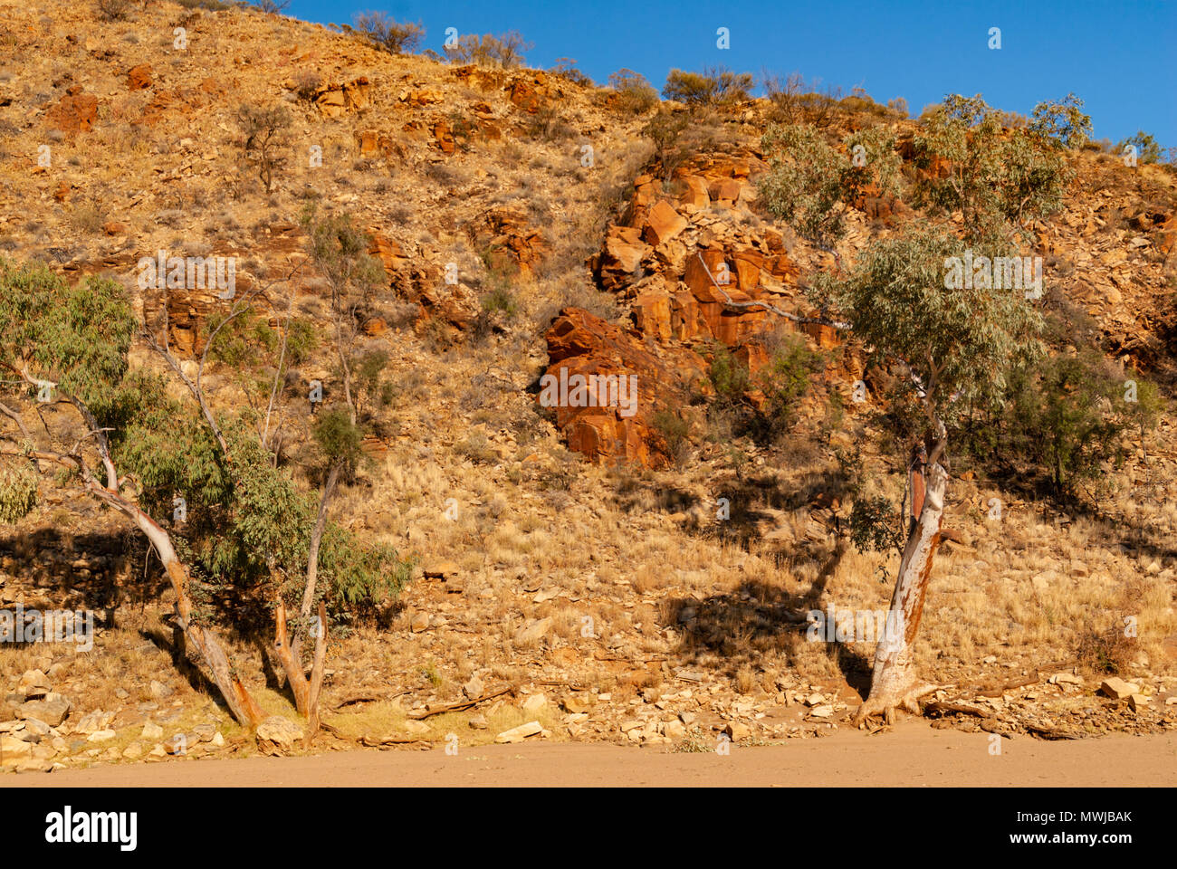 Ruby Gap Nature Park in East MacDonnell Ranges near Alice Springs, Northern Territories ...