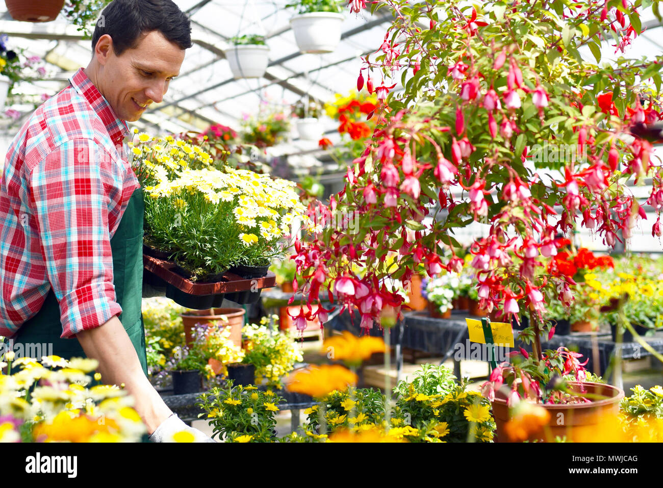 Professional gardener man working garden hi-res stock photography and ...