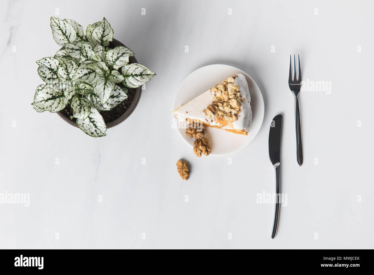 Top view of cake on plate with cutlery and potted plant on grey Stock ...