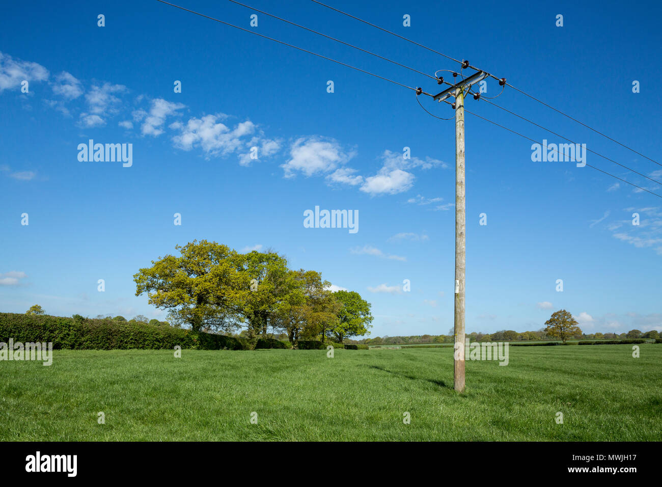 Wooden electricity pole in beautiful landscape on a green field ...