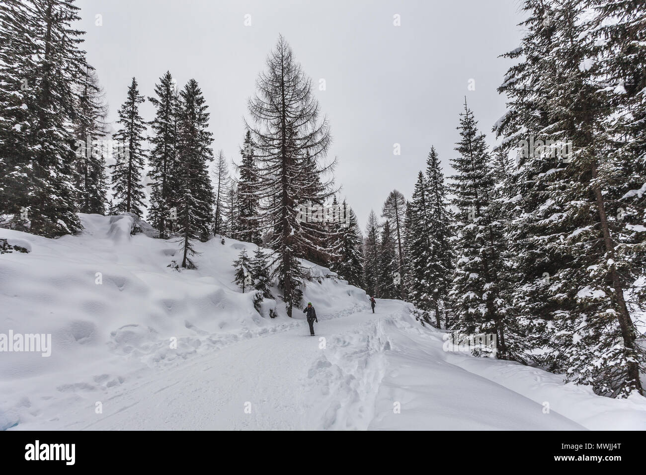 Two people walking along snow hi-res stock photography and images - Alamy