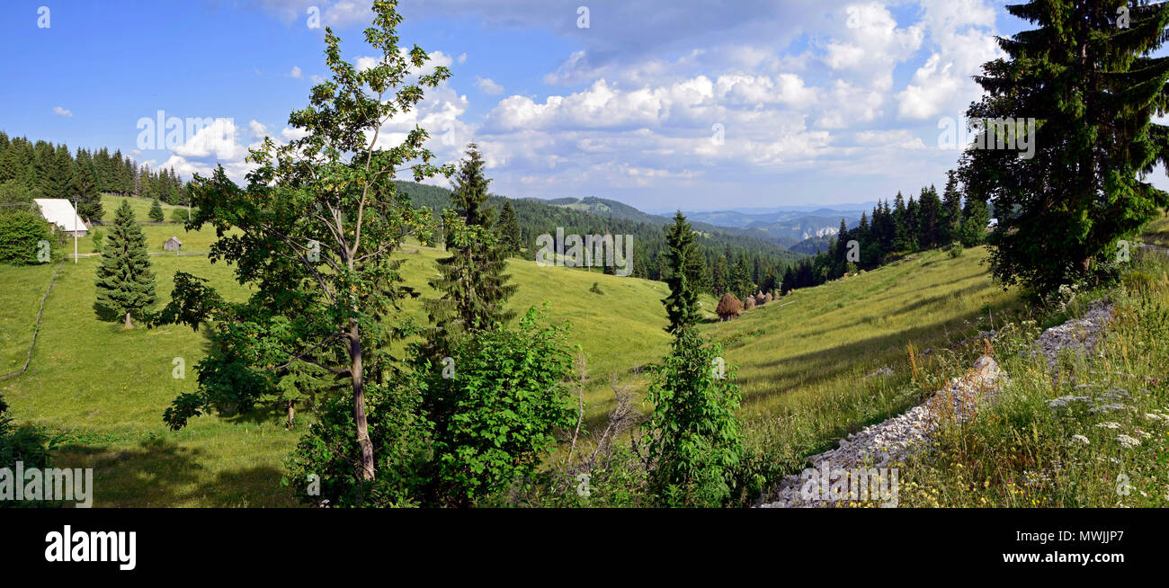 Apuseni natural park hi-res stock photography and images - Alamy