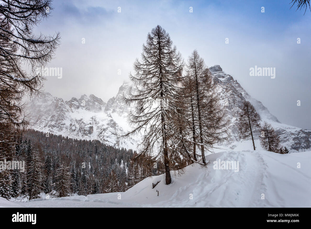 View of the mount Pelmo during a snowy day, Dolomites, Italy Stock ...