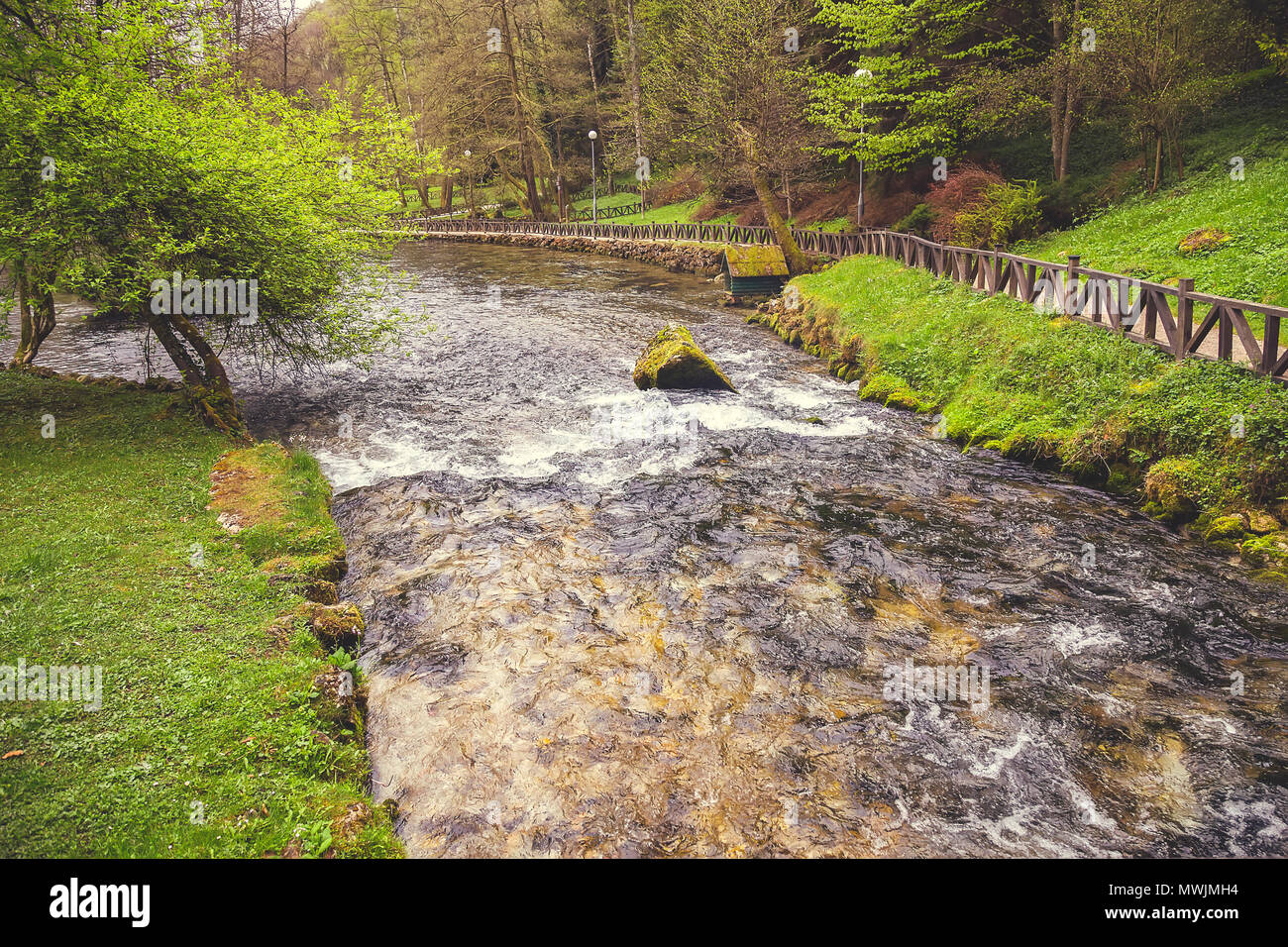 Bosna river flow in nature park Vrelo Bosne near Sarajevo, Bosnia and ...