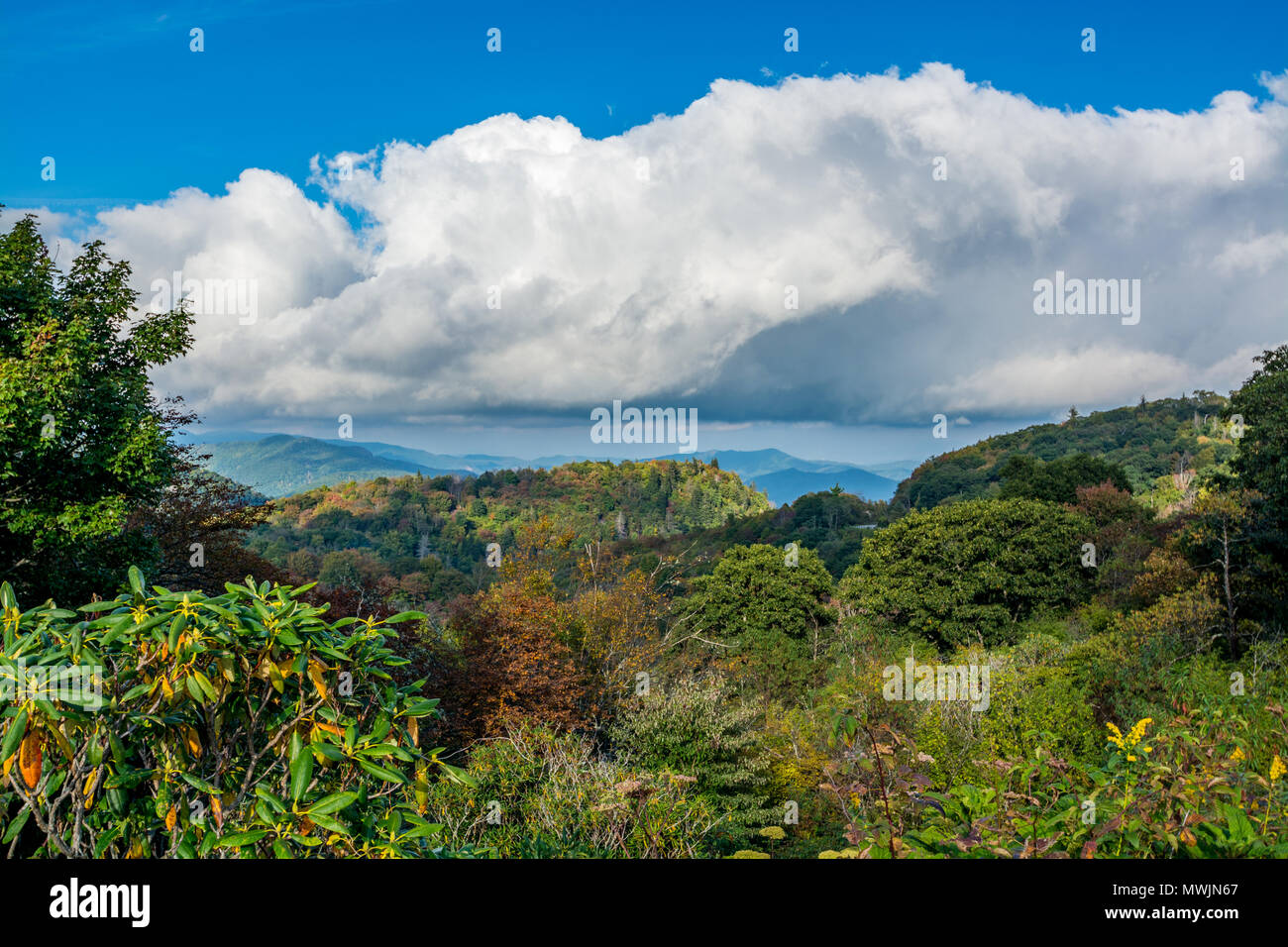 Blue ridge mountains hi-res stock photography and images - Alamy