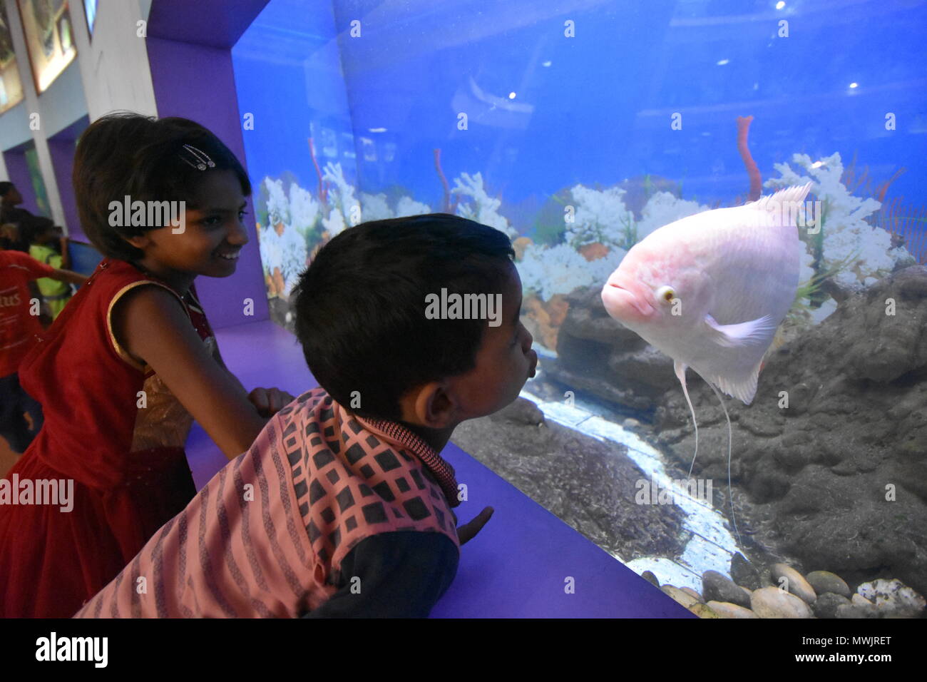 A girl and a boy interacting with freshwater fish at the Dynamotion ...