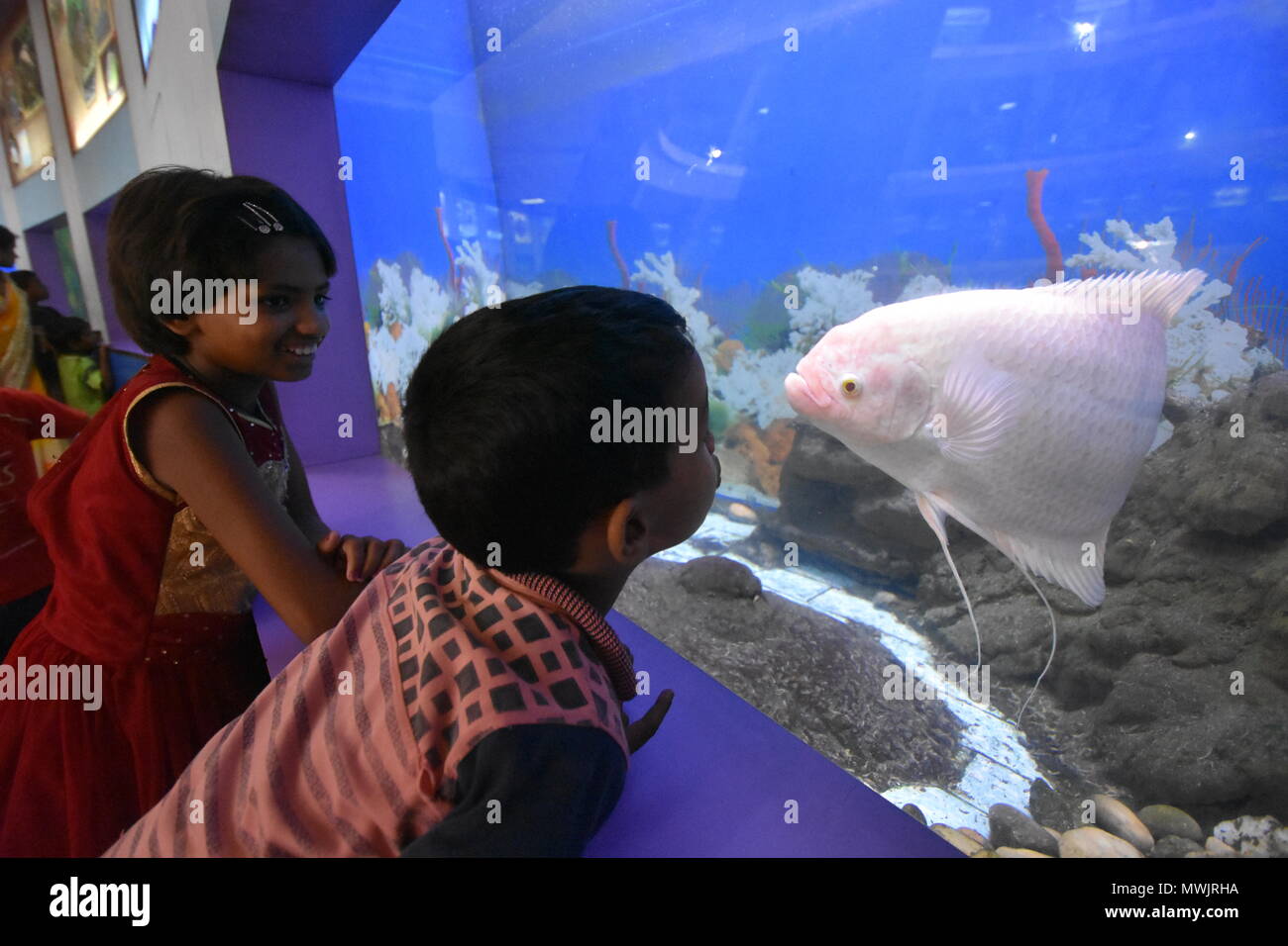 A girl and a boy interacting with freshwater fish at the Dynamotion ...