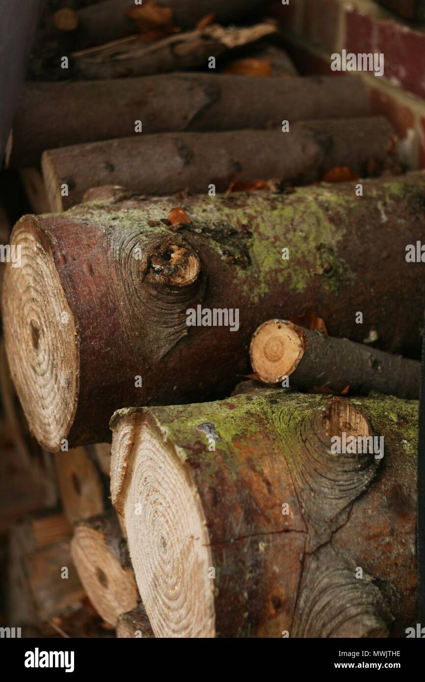 logs in stack Stock Photo - Alamy