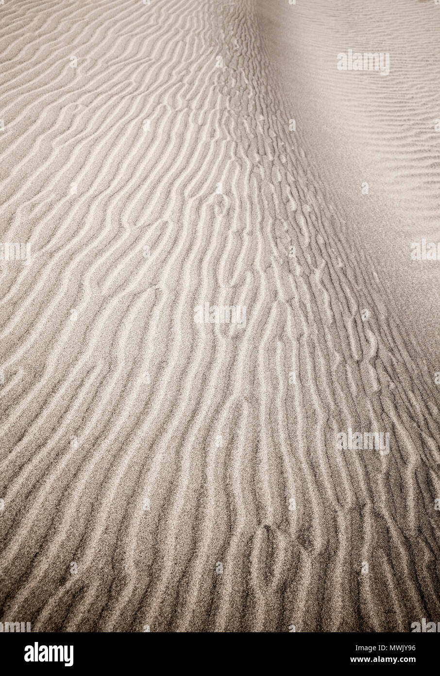 sand and wind patterns on dune surface. Pattern is formed by two types ...