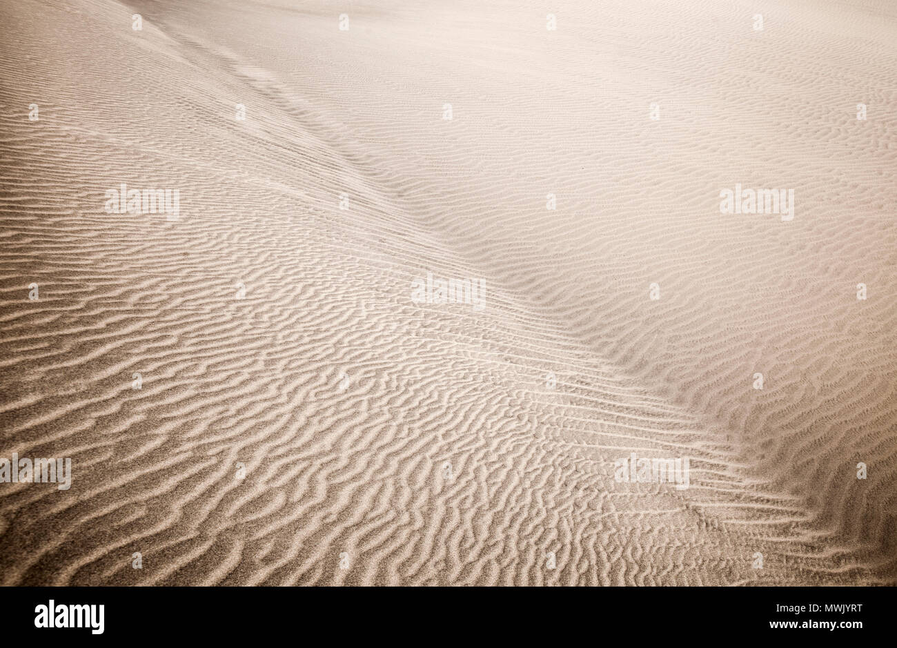 sand and wind patterns on dune surface. Pattern is formed by two types ...