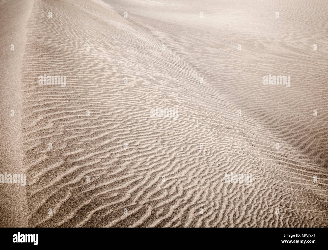 sand and wind patterns on dune surface. Pattern is formed by two types ...