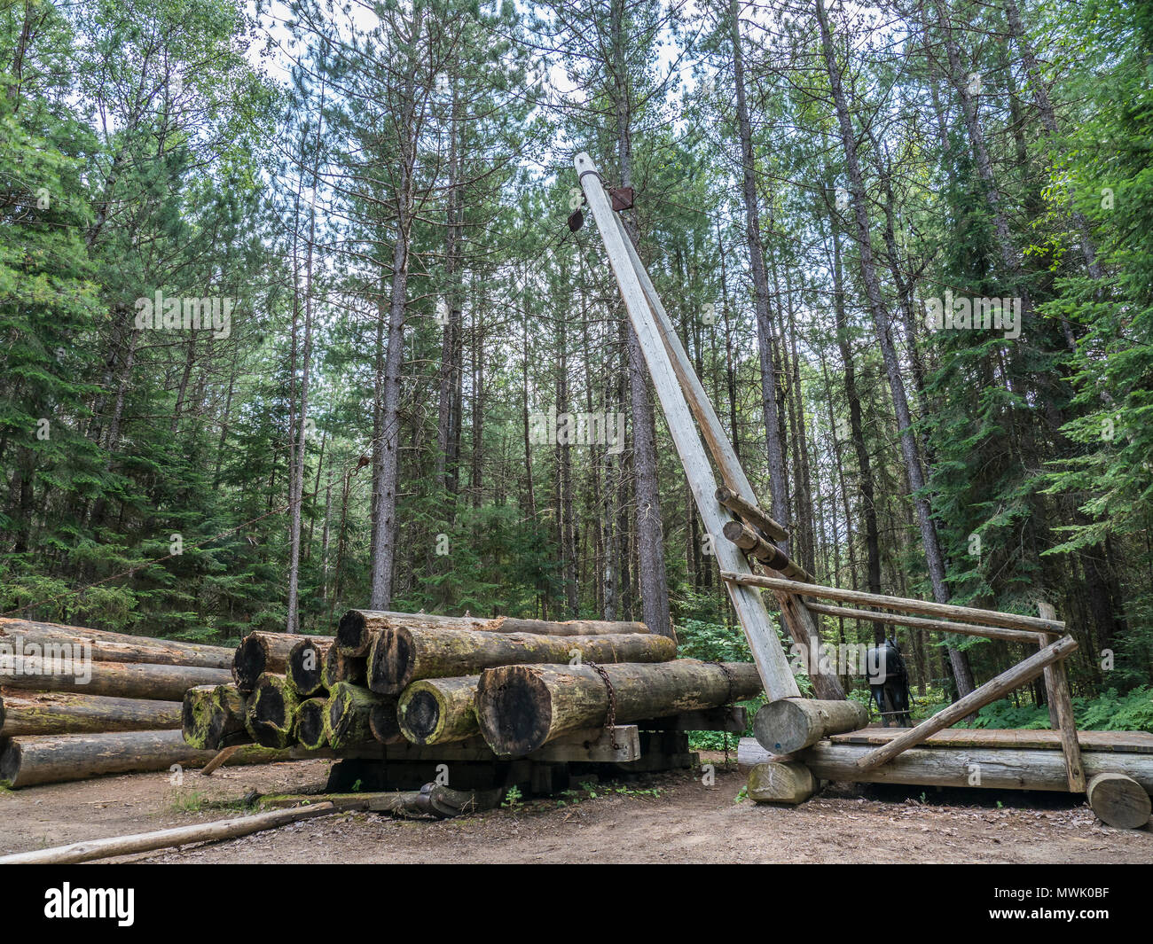 Jammer, Algonquin Logging Museum, Algonquin Provincial Park, Ontario ...