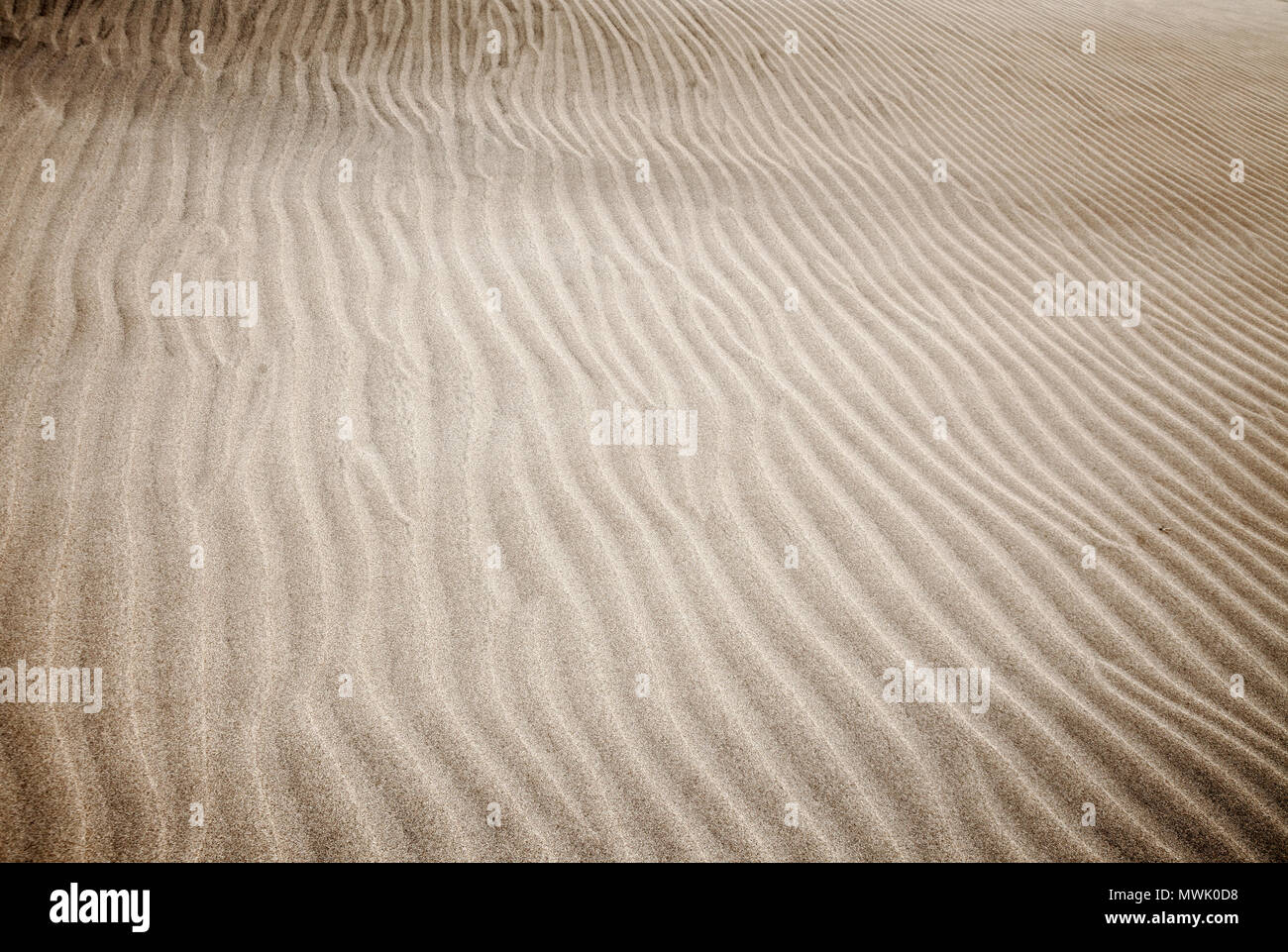 natural sand pattern created by wind blowing differently sized and ...
