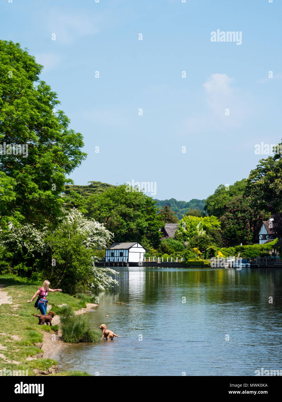 The thames at cookham hi-res stock photography and images - Alamy