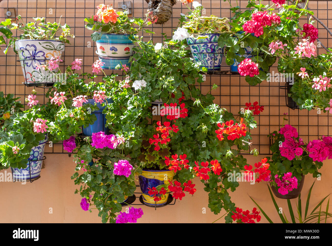 Spanish patio full of geraniums in brightly coloured plantpots Stock ...