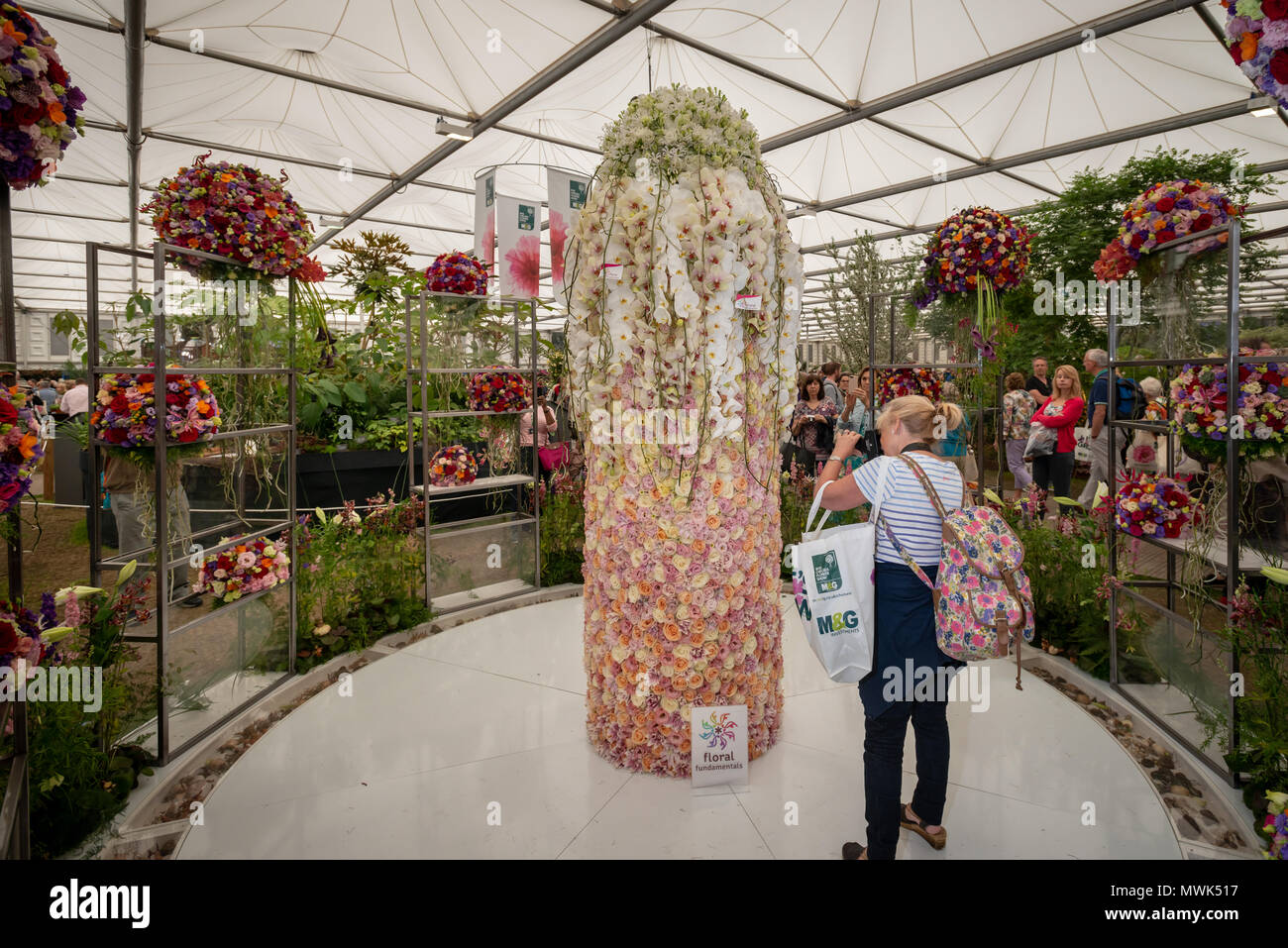 A visitor to the Chelsea Flower Show in London, UK takes a photograph ...