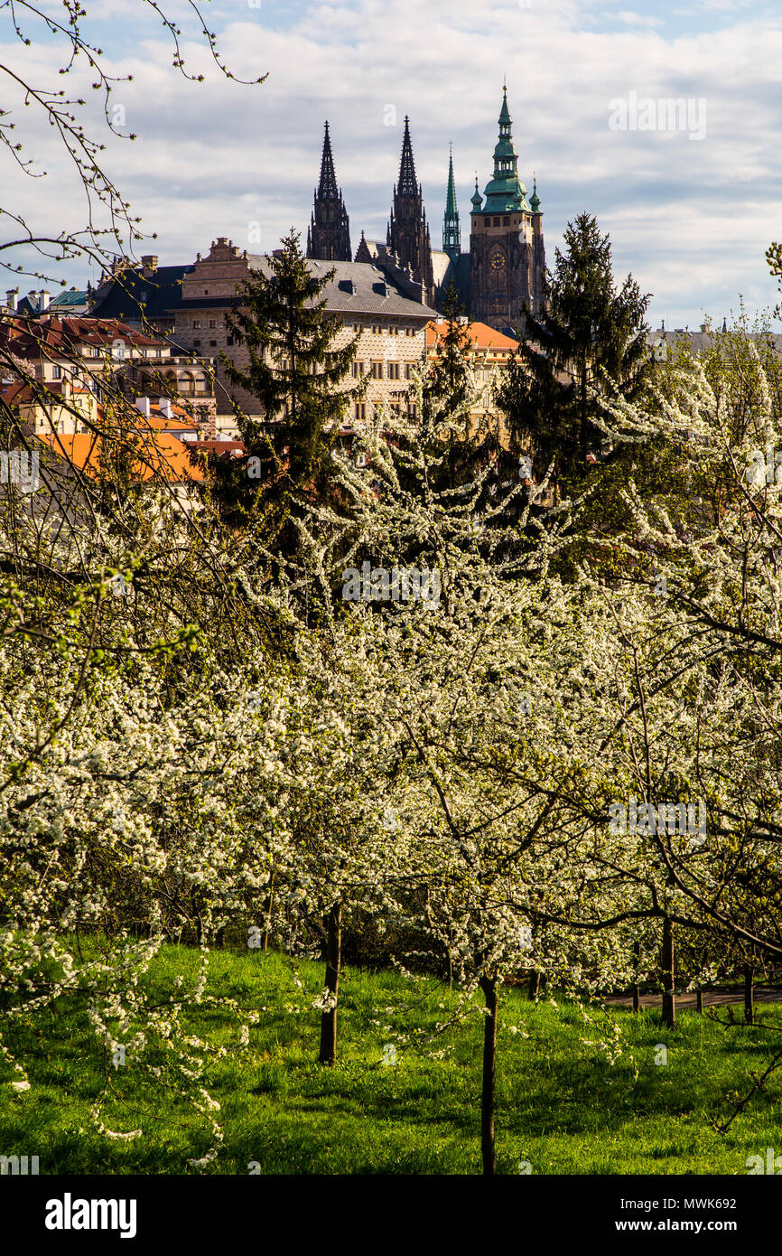 Prague spring hi-res stock photography and images - Alamy