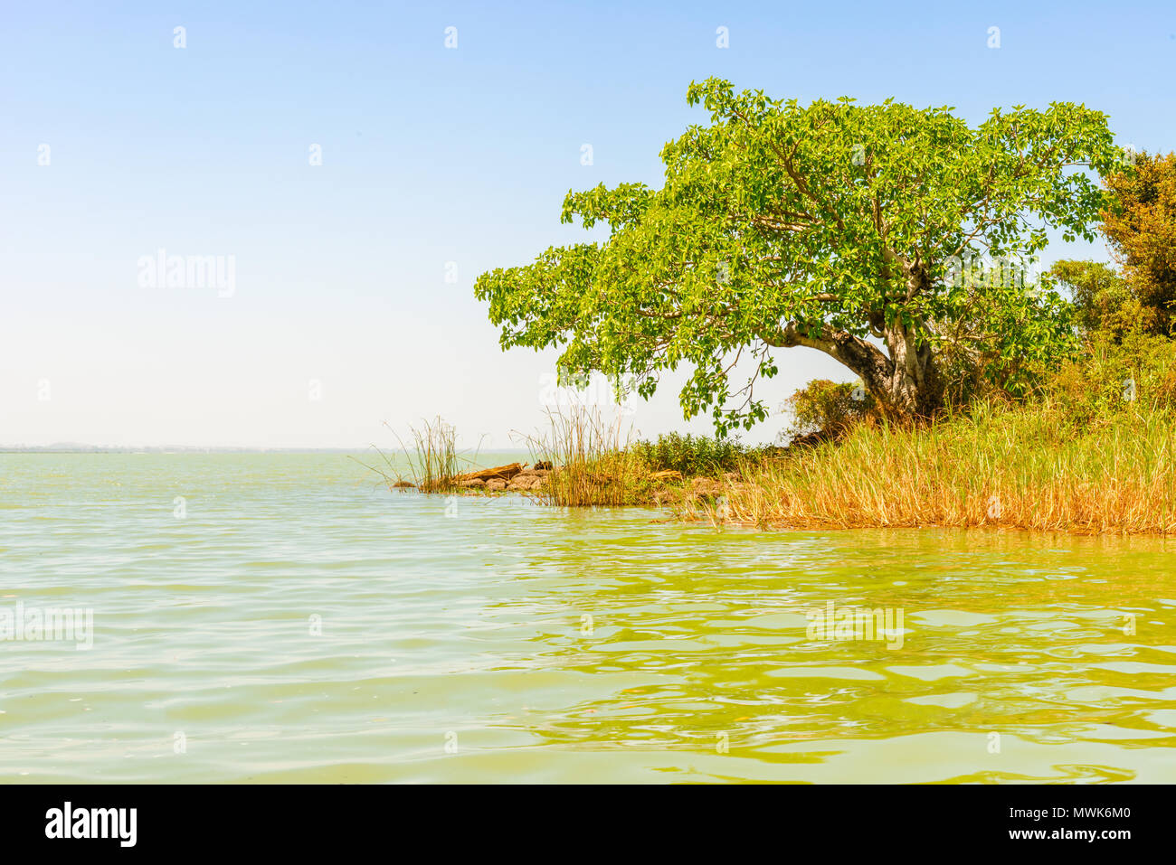 Bahir dar island ethiopia hi-res stock photography and images - Alamy