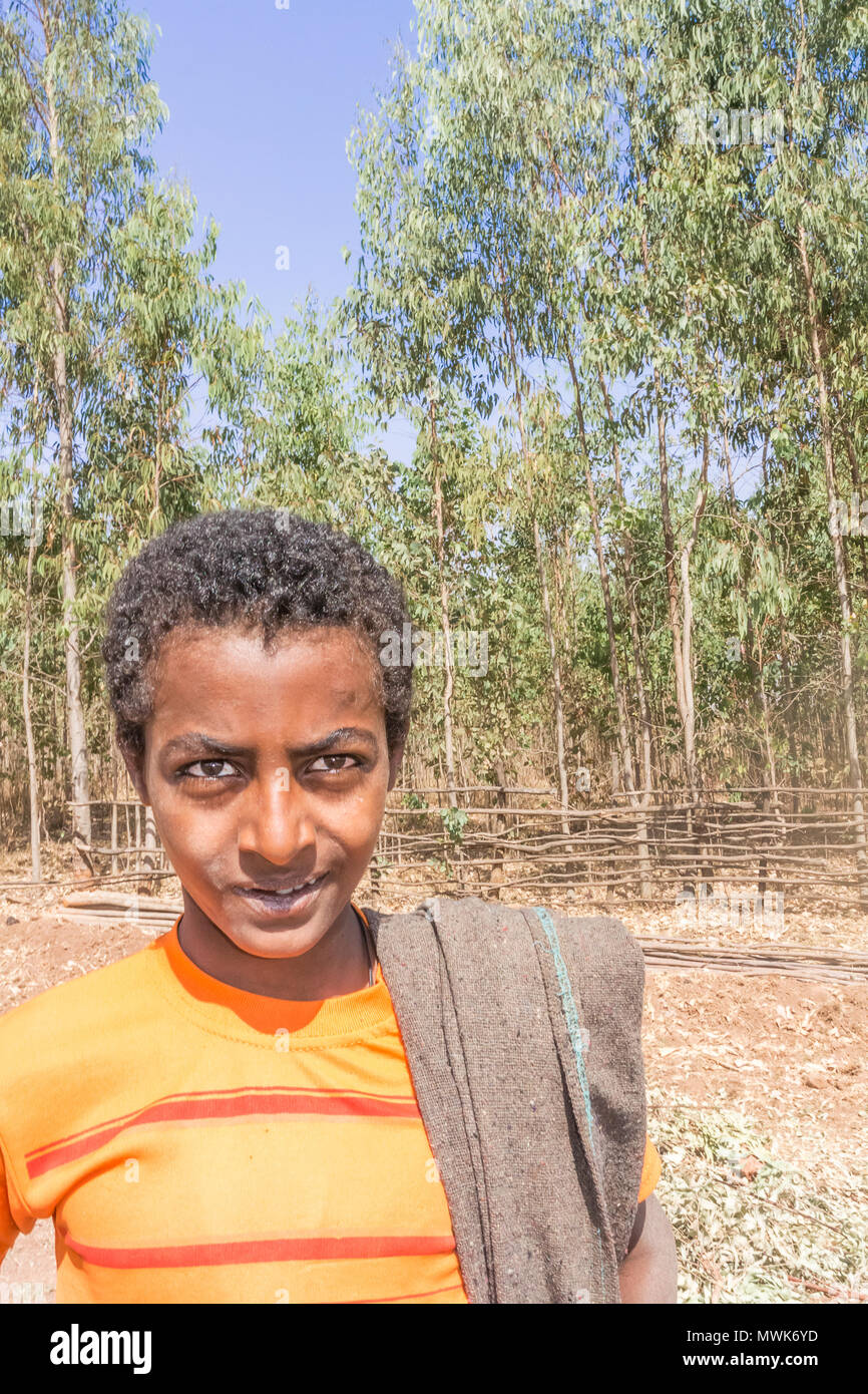 Dangla ethiopia hi-res stock photography and images - Alamy