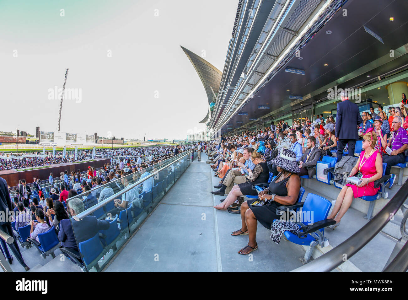 People at stadium gallery stand Stock Photo - Alamy