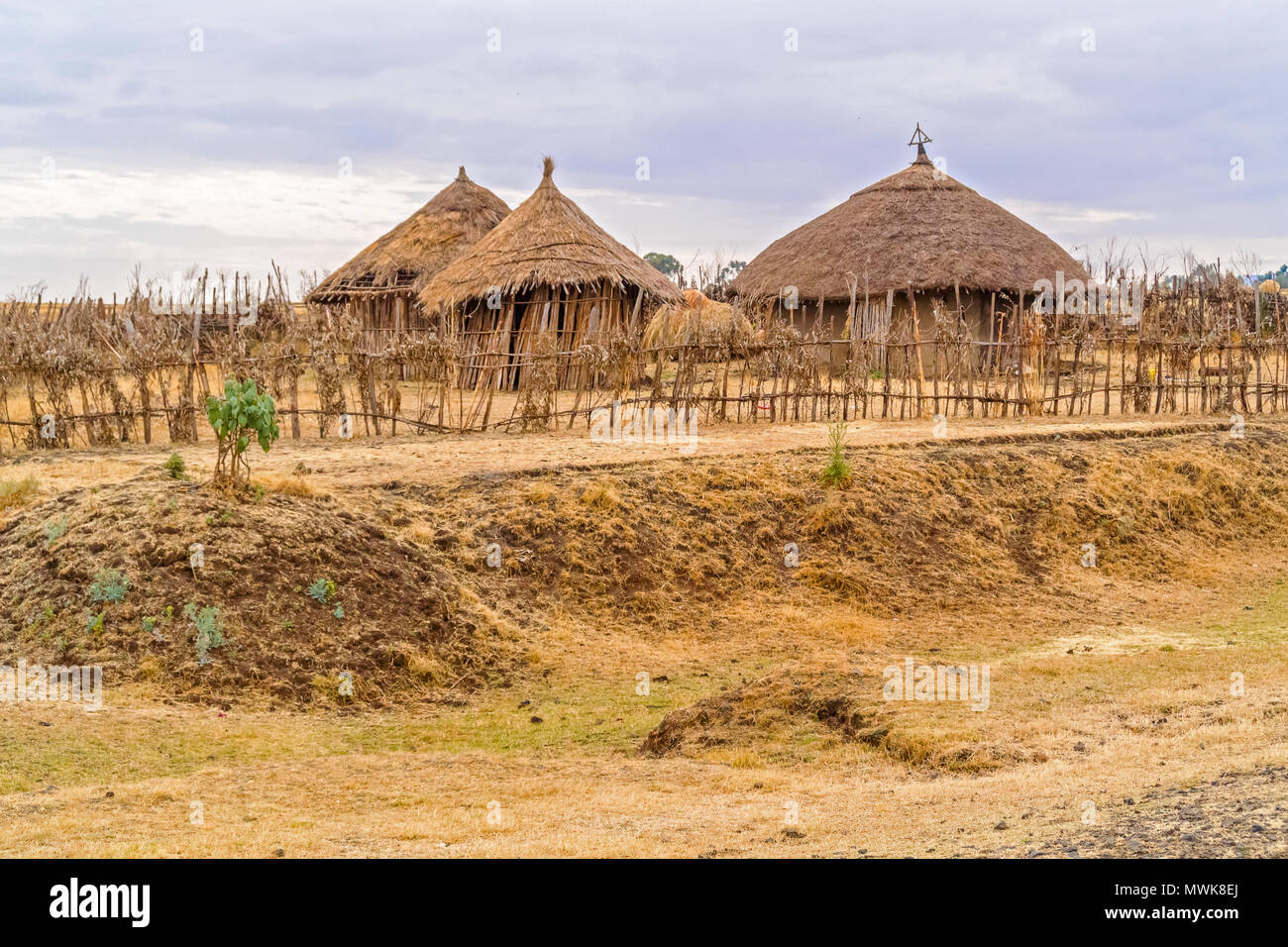 Rural landscape with houses and fence around in remote area in Ethiopia ...