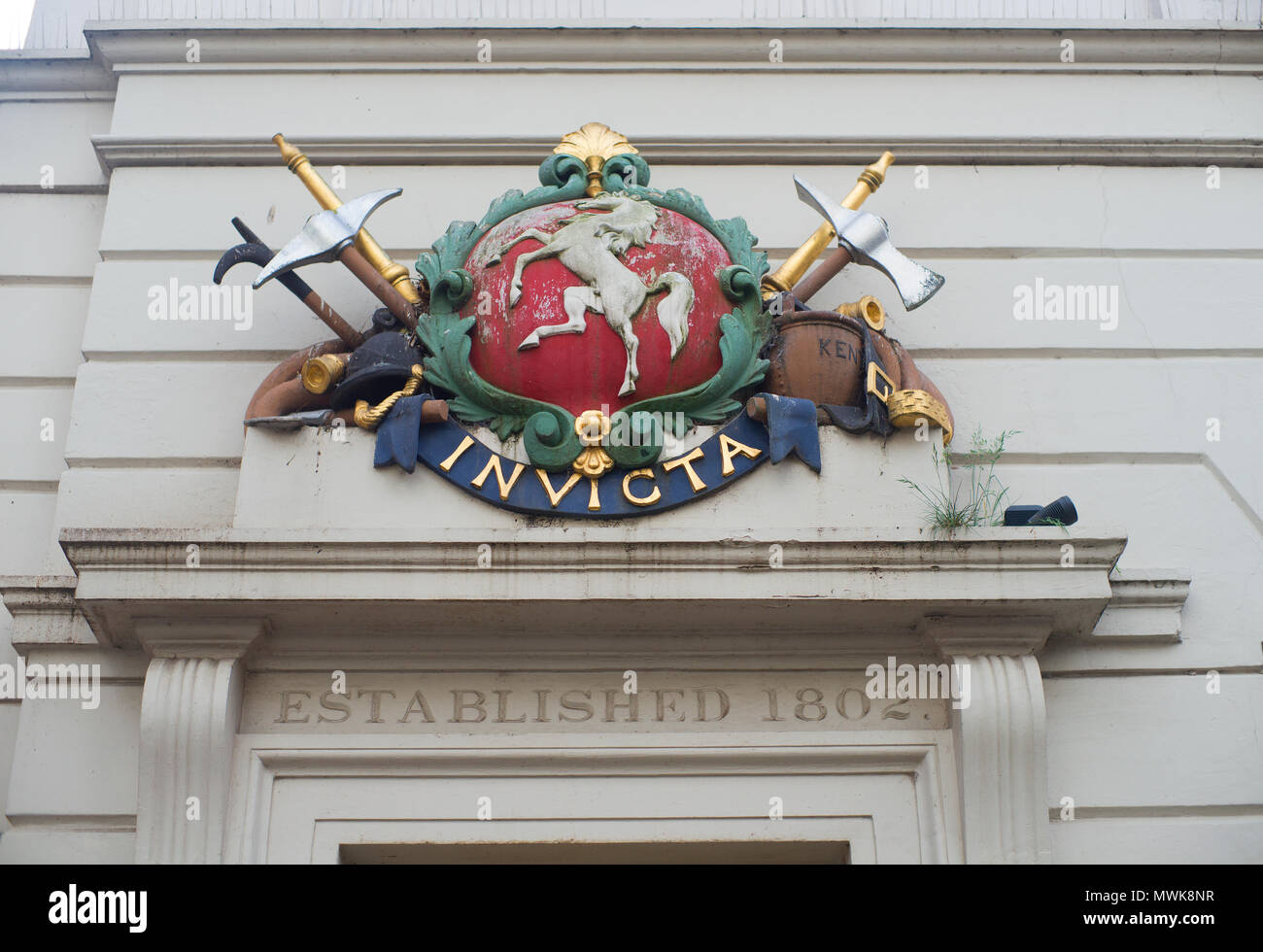 Invicta Horse High Resolution Stock Photography and Images - Alamy