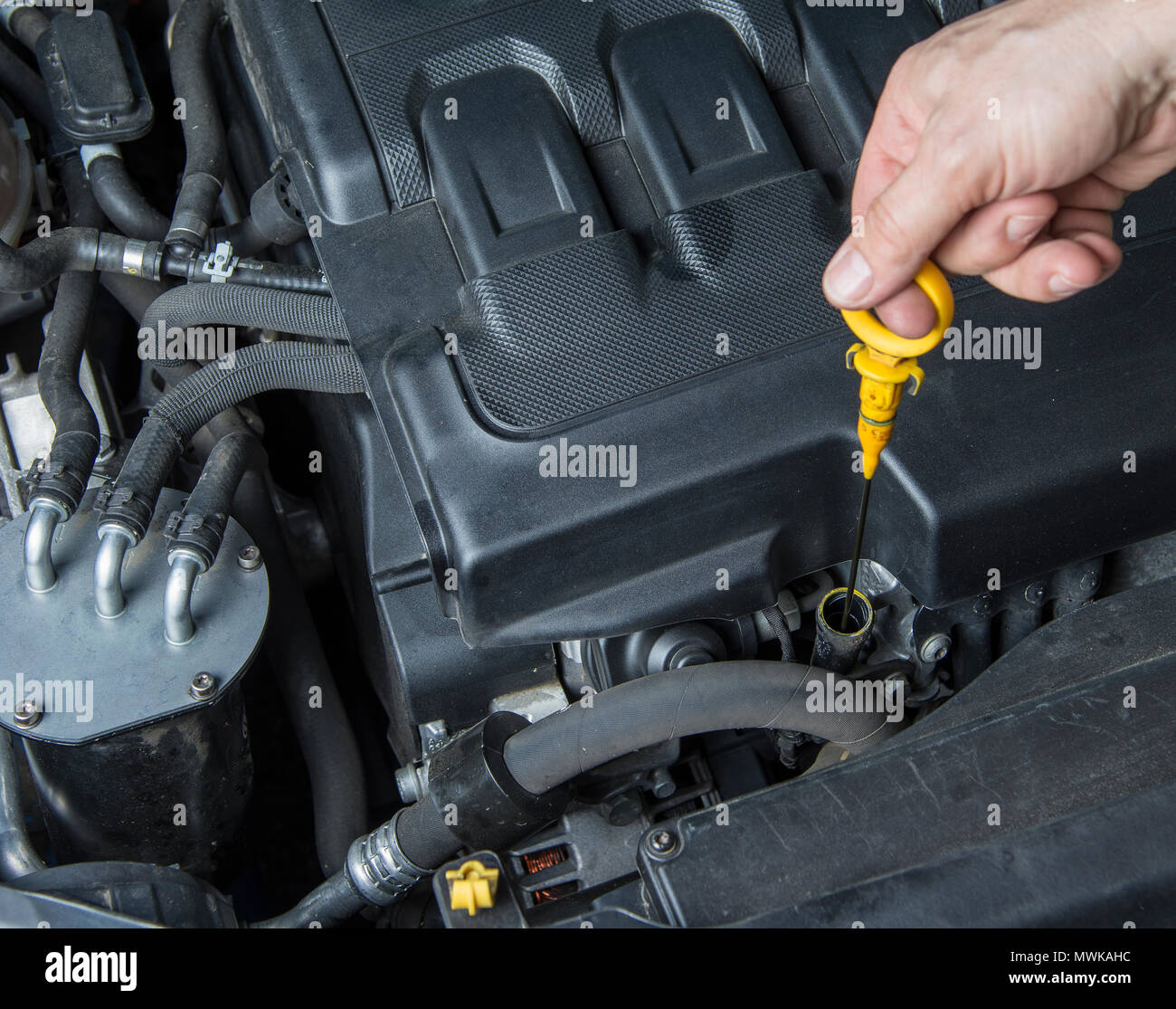 Man is checking the oil in the car engine Stock Photo - Alamy