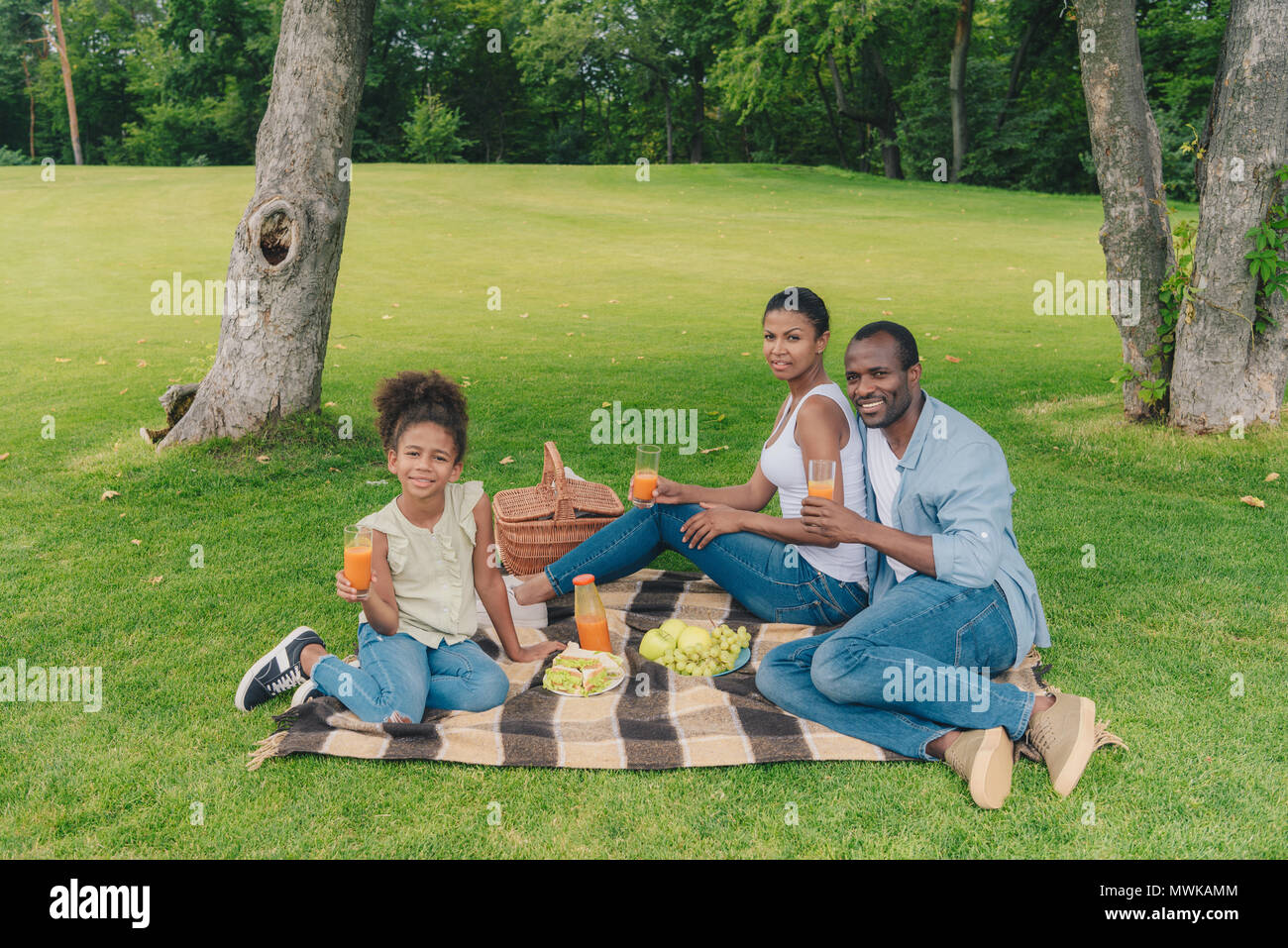 African american family having picnic hi-res stock photography and ...