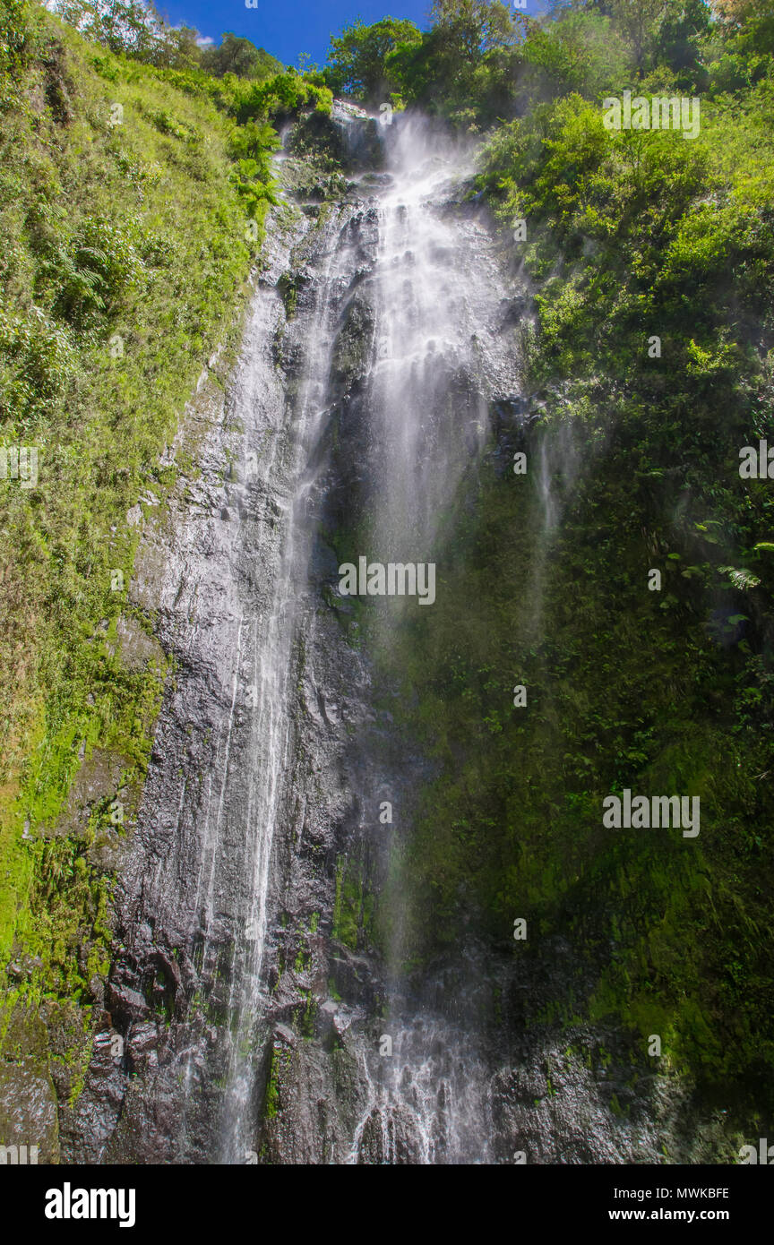 Beautiful outdoor view of San Ramon Waterfalls on Ometepe Island during ...
