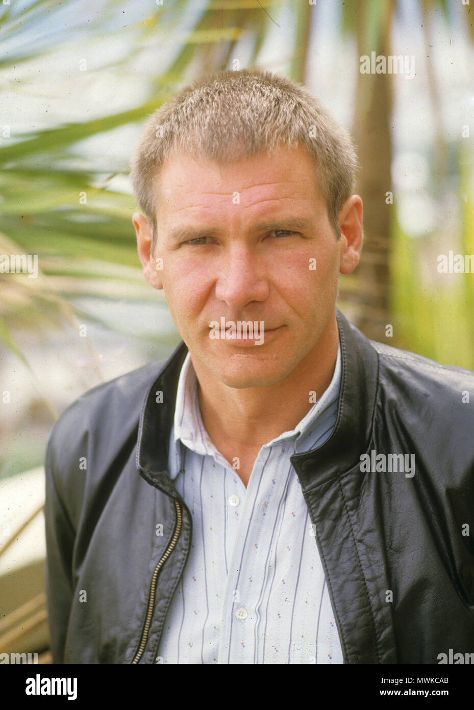 HARRISON FORD US film actor about 1974 Stock Photo - Alamy