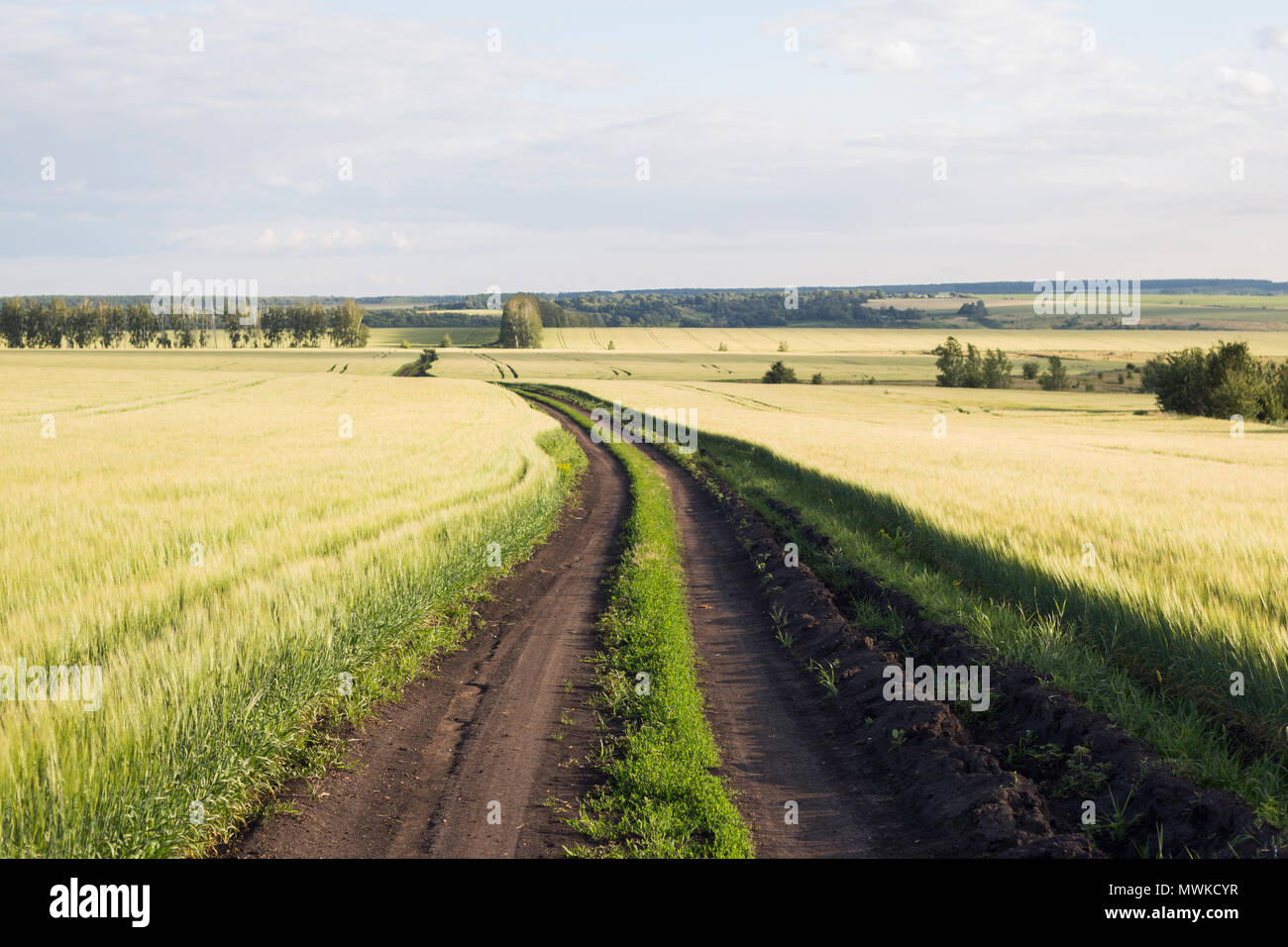 road in the field Stock Photo - Alamy