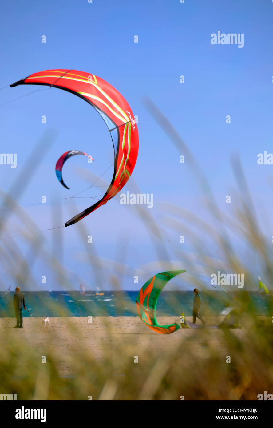 kite flying on the beach Stock Photo - Alamy
